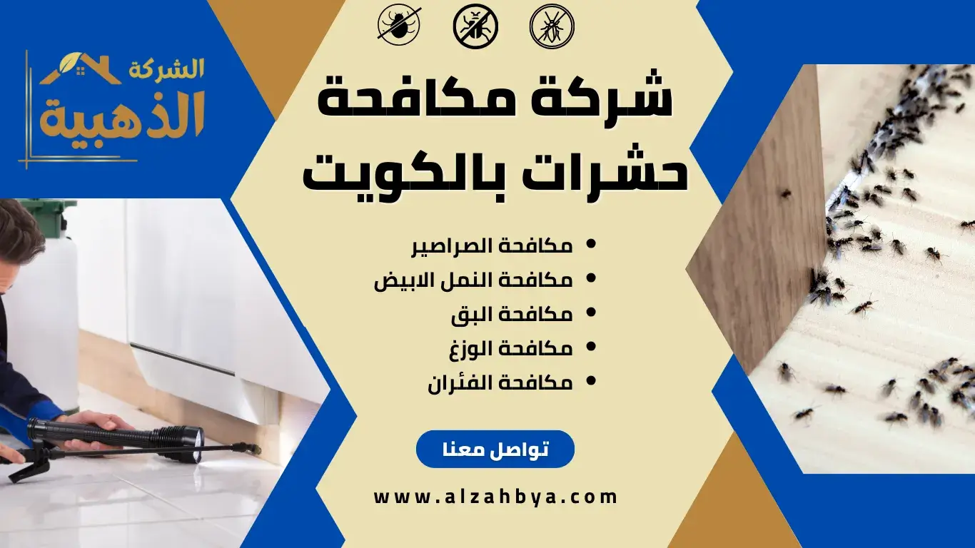 شركة مكافحة حشرات الكويت - 55099149 اتصل الآن | الشركة الذهبية